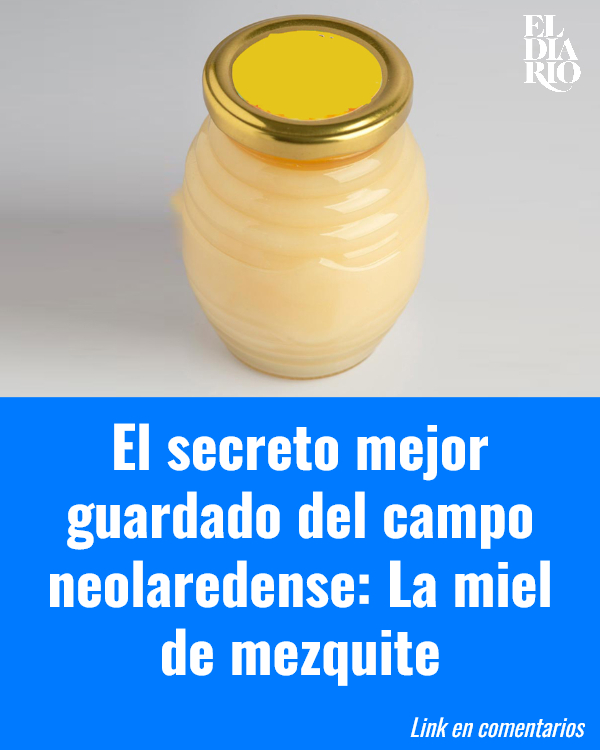 El secreto mejor guardado del campo neolaredense: La miel de mezquite